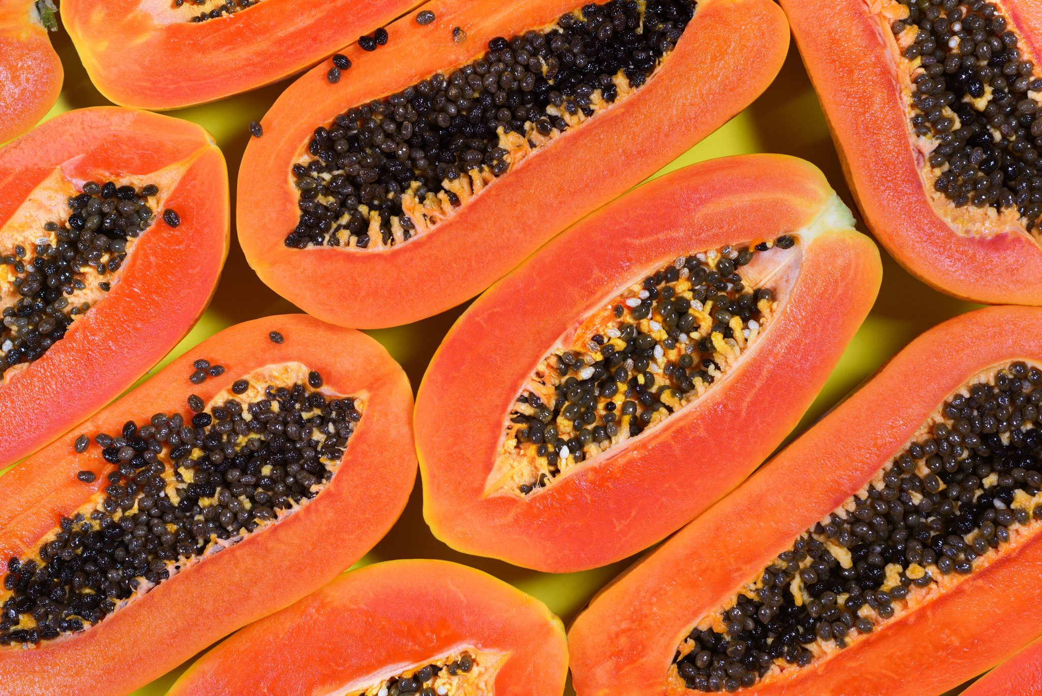 Papaya mexicana: producción, cultivo y beneficios – Entorno Agricultor